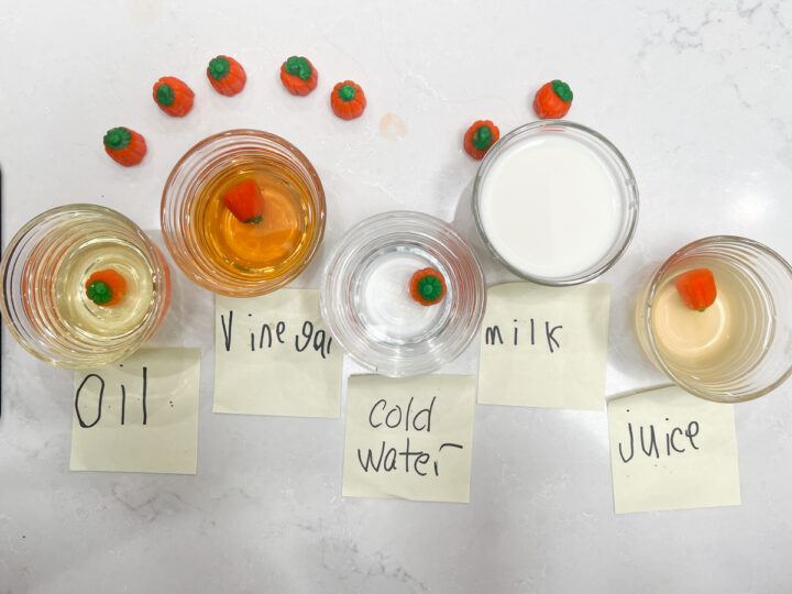 Dissolving Pumpkins - A Halloween Science Experiment!