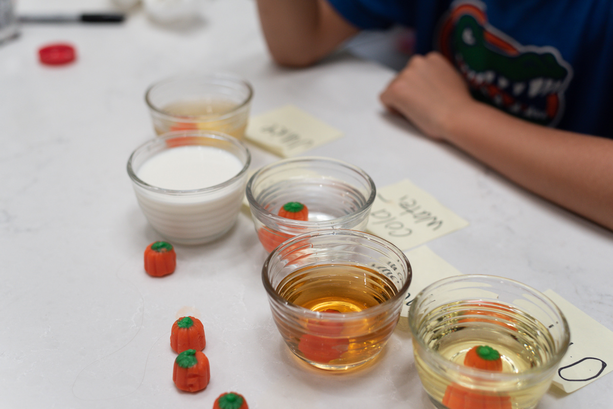 Dissolving Pumpkins - A Halloween Science Experiment!