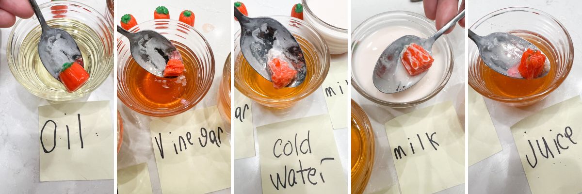 Dissolving Pumpkins - A Halloween Science Experiment!