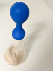 Yeast Balloon Experiment - sciencewithayan.com
